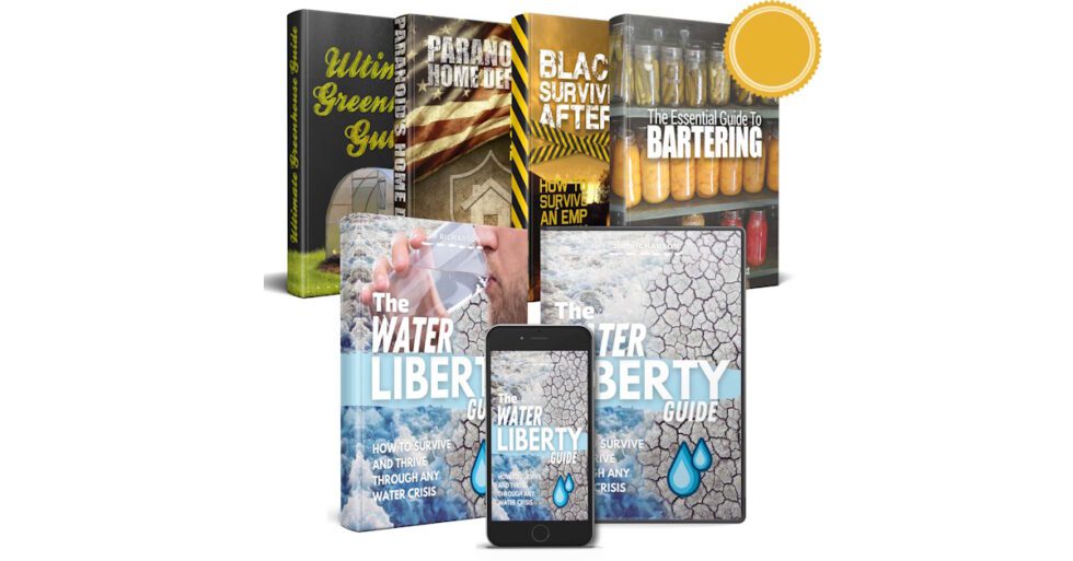 From Scarcity to Security: Exploring Water Crisis Solutions with the ...